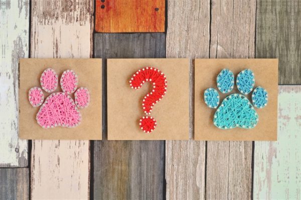 Vbaにあるfunctionとsubの違いは?決定的な違いを分かりやすく解説 富山 パソコン教室「キュリオステーション掛尾店」